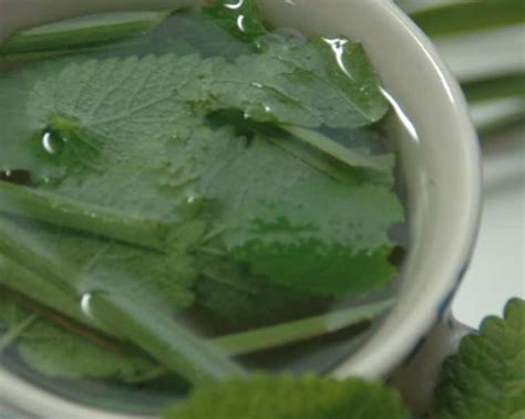 Luscious Lemongrass Tea Recipe Chefs Resource Recipes