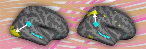 Brain Computation And Data Science