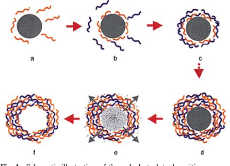 Figure 1 From Multilayer Microcapsules With Tailored Structures For Bio
