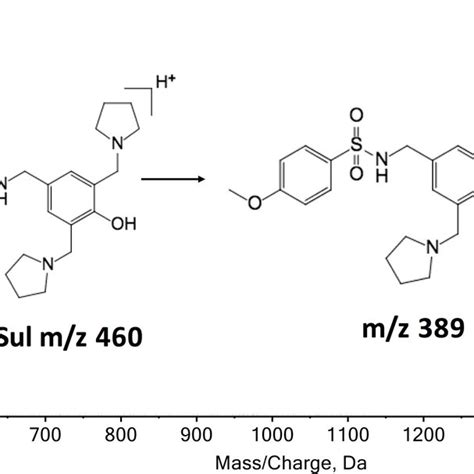 Full Scan Product Ion Mass Spectra Of Protonated Ions Obtained From Sul