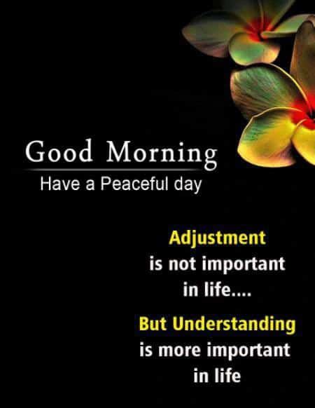 Mh Virani Posted On Linkedin