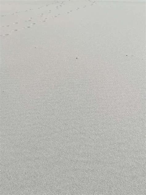 大自然的神奇，大水衝出來的沙漠！沙漠中的獨行者 每日頭條