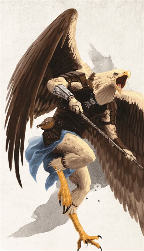 Bald Eagle Flying In The Air Hawk Familiar Dnd Arakokra Dnd Art