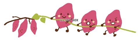 最高のコレクション いも イラスト イラスト画像ギャラリー