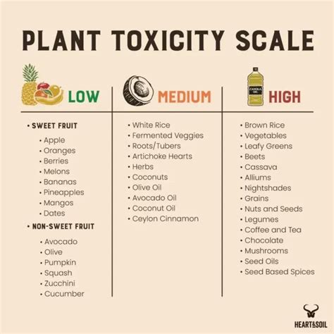 Plant Toxicity Scale R Stopeatingseedoils
