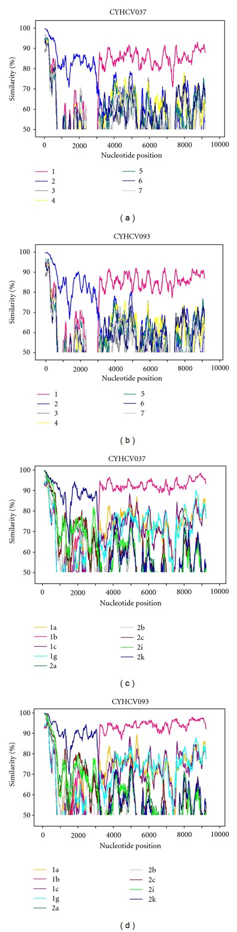 Simplot Analyses Of The Two 2k1b Recombinant Candidate Strains