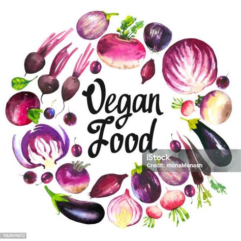 농장 일러스트의 둥근 구성과 수채화 그림 야채 세트 양배추 가지 순무 무 당근 양파 신선한 유기농 식품 바이올렛 0명에 대한 스톡 벡터 아트 및 기타 이미지 Istock