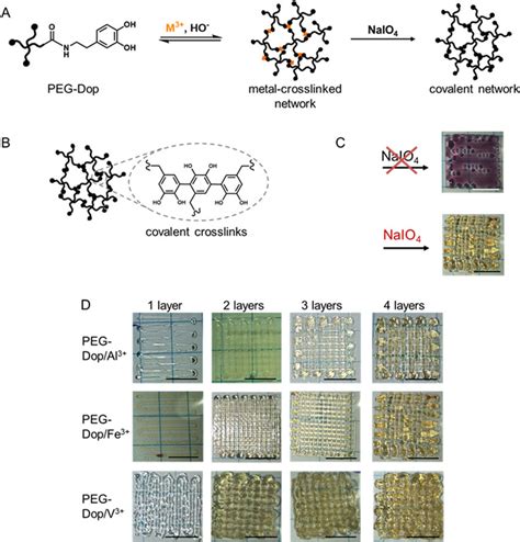 Printing Of 3d Scaffolds A Schematic Of The Secondary Covalent