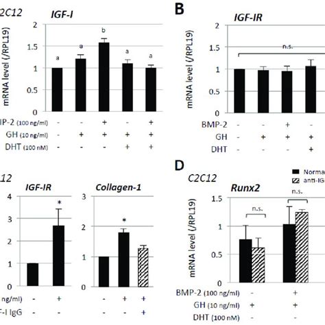 Interaction Of Androgen And Gh In Bmp Induced Osteoblast Marker
