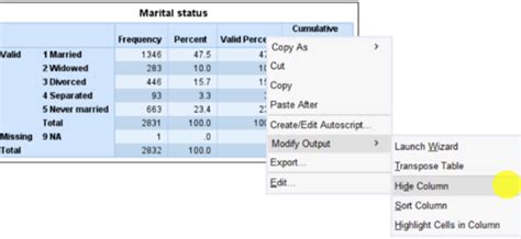 Whats New In SPSS Statistics V SPSS Analytics Partner