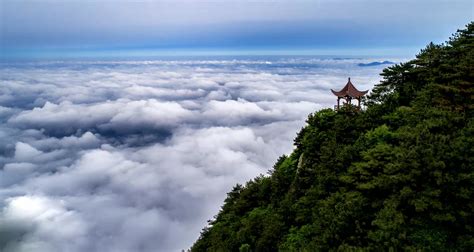 首个国家认证森林康养基地在岳阳颁牌