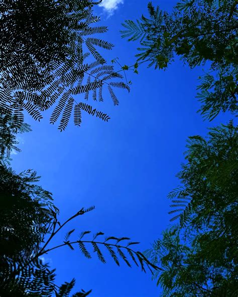 鈴木 重子 久しぶりに病気になった、この数日。 具合が悪くなったら なんだか理由もなく気が動転して Facebook