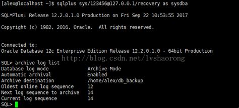Oracle Database 12c Rman全量增量备份归档日志恢复详解oracle增量恢复 Csdn博客