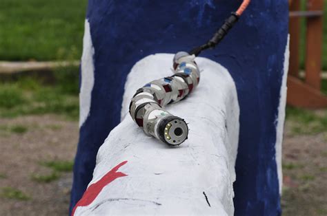 Biorobotics Pictures And Video Cmu Biorobotics