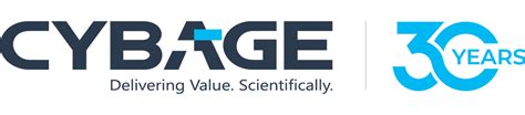 Travel And Hospitality Services And Consulting Cybage Software