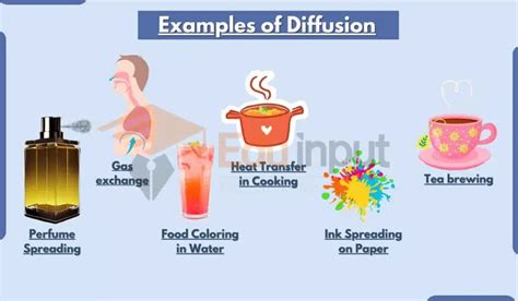 Diffusion Examples 18 Everyday Diffusion Demonstrations
