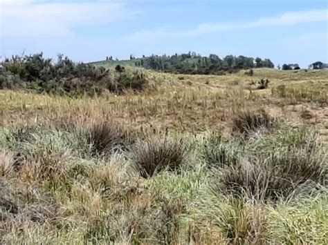 Chacras De 4 5 Hectareas Con Acceso A La Playa Zona Mar Azul En Venta
