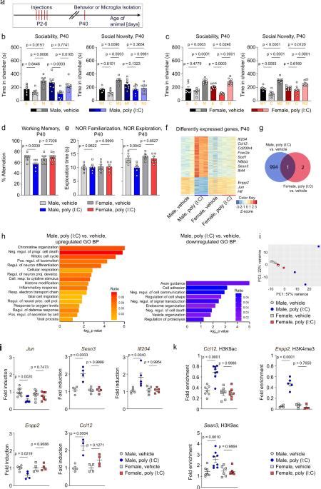Dr Marius Schwabenland On Linkedin Neonatal Immune Challenge Poses A