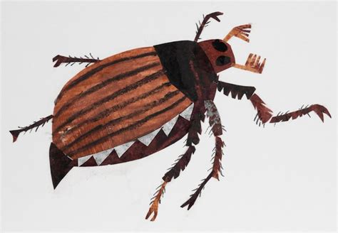 Eric Carle Bug Illustration