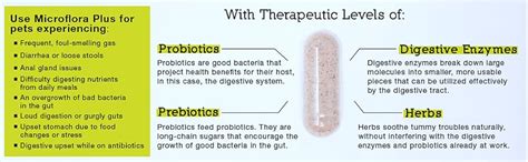 Herbsmith Microflora Plus Cat Digestive Aid 30 Capsules Prebiotics