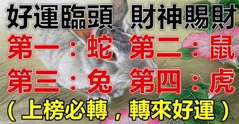 明日起好運臨頭、財神賜財、腰纏萬貫的四大生肖 趣聞圖說