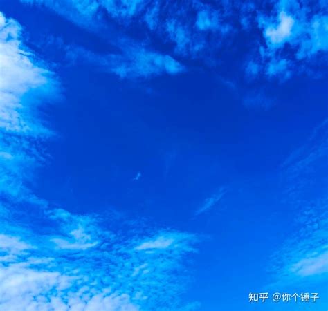 真善美红花配绿叶 知乎