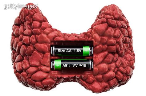 Human Thyroid With Batteries Recovery And Treatment Concept 3d