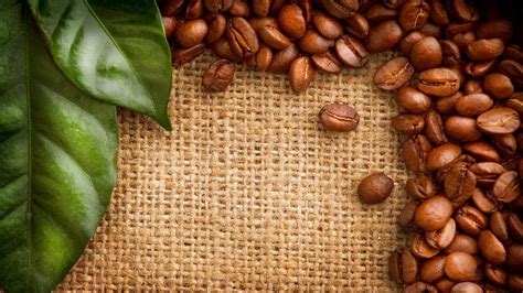 Coffee Beans Windows Themes