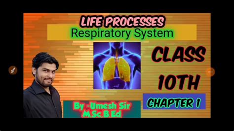 Ch Life Processes Respiration Biology Class NCERT UP CBSE Board YouTube