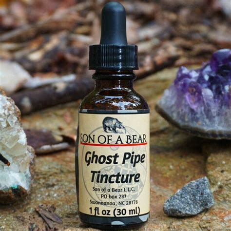Ghost Pipe Tincture — Sonofabear
