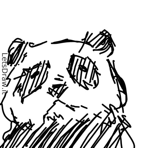 How To Draw Panda Rsxbqbgp9 Png LetsDrawIt
