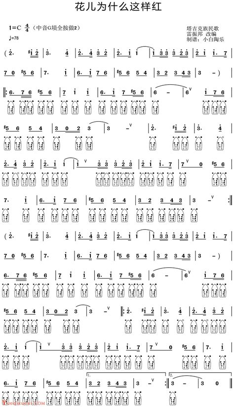 埙入门简谱花儿为什么这样红 埙曲谱 乐器学习网