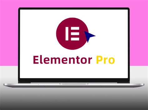 Elementor Pro 插件 枫雨在线