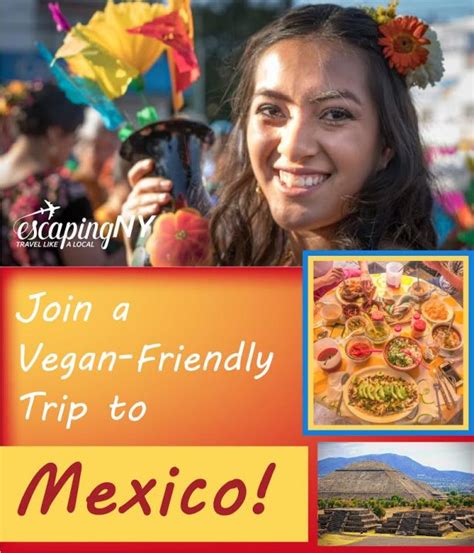 Vegan Tours Vegan Cruise Options Vegan Friendly Tour Operators