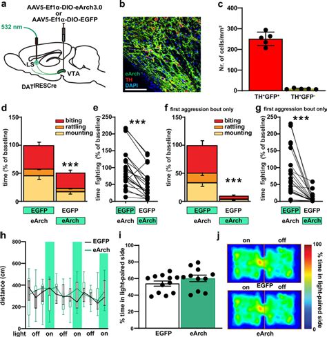 Optogenetic Inhibition In Vta→ls Daergic Terminals Impair Aggressive
