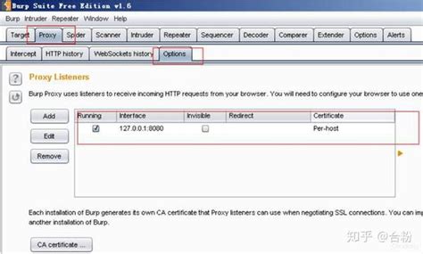 Burpsuite实战——合天网安实验室学习笔记 知乎