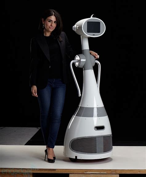 Luna Un Robot Domestique Qui Serait Accessible