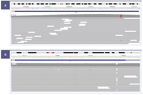Sureseq Cll Cnv V3 Ngs Panel