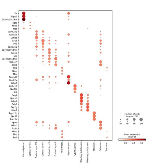 analysis of 10x visium mouse brain slice — spasrl 0 1 2 documentation
