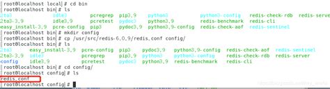 Redis609在window和linux下的详细安装过程以及安装过程遇到的问题redis609 Windows 安装包 Csdn博客