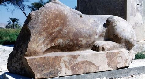 Role Of The Mitanni Princess In Ancient Egypt Routofthetombs