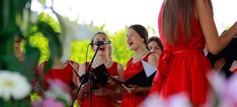 Народни покрет Динара Дрина Дунав