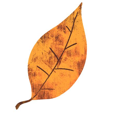 紅葉した葉っぱ・落ち葉・枯れ葉のイラスト 絵本風 ためカモ学びサイト