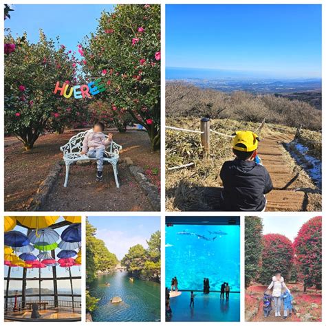 국내 겨울 여행지 추천 제주 동백꽃 명소 포함 제주도 가족 여행 코스 네이버 블로그