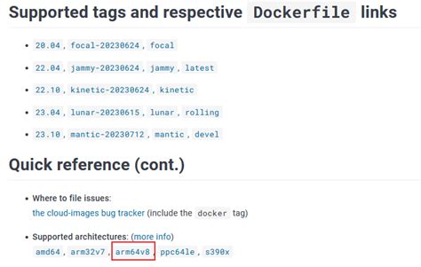 Qemu Docker Dolinux