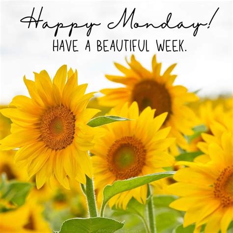 Happy Monday Have A Beautiful Week