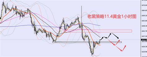 老黑策略：114外汇、黄金、原油分析策略中金在线财经号