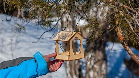 The 6 Best Bluebird Feeders That You Have To Try Out