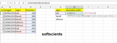 Fungsi Excel Untuk Menghitung Sum Dengan Syarat Kondisi Softscients