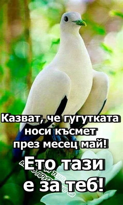♥ Бъди това което другите не са